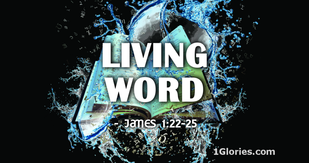 Why Treating God's Living Word as a Textbook is Foolish • 1Glories